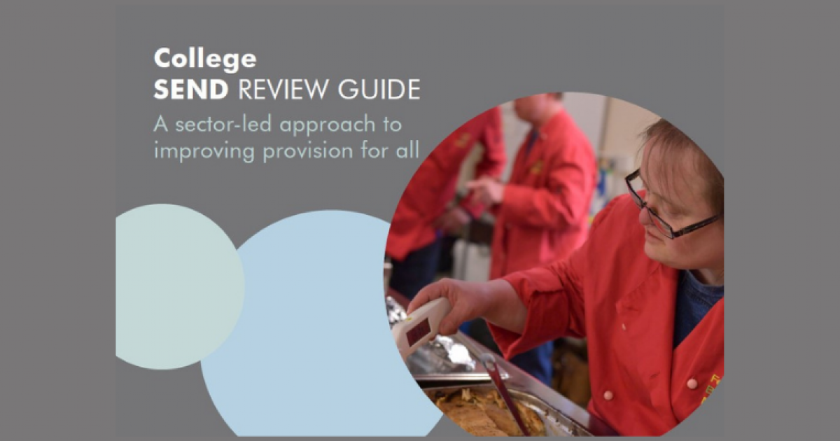 College SEND Review Guide | Whole School SEND